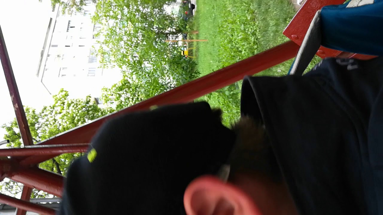 Copil copac cu prune în cap - YouTube