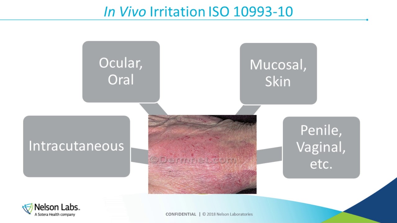 Irritation Testing is Becoming Less Irritating - YouTube