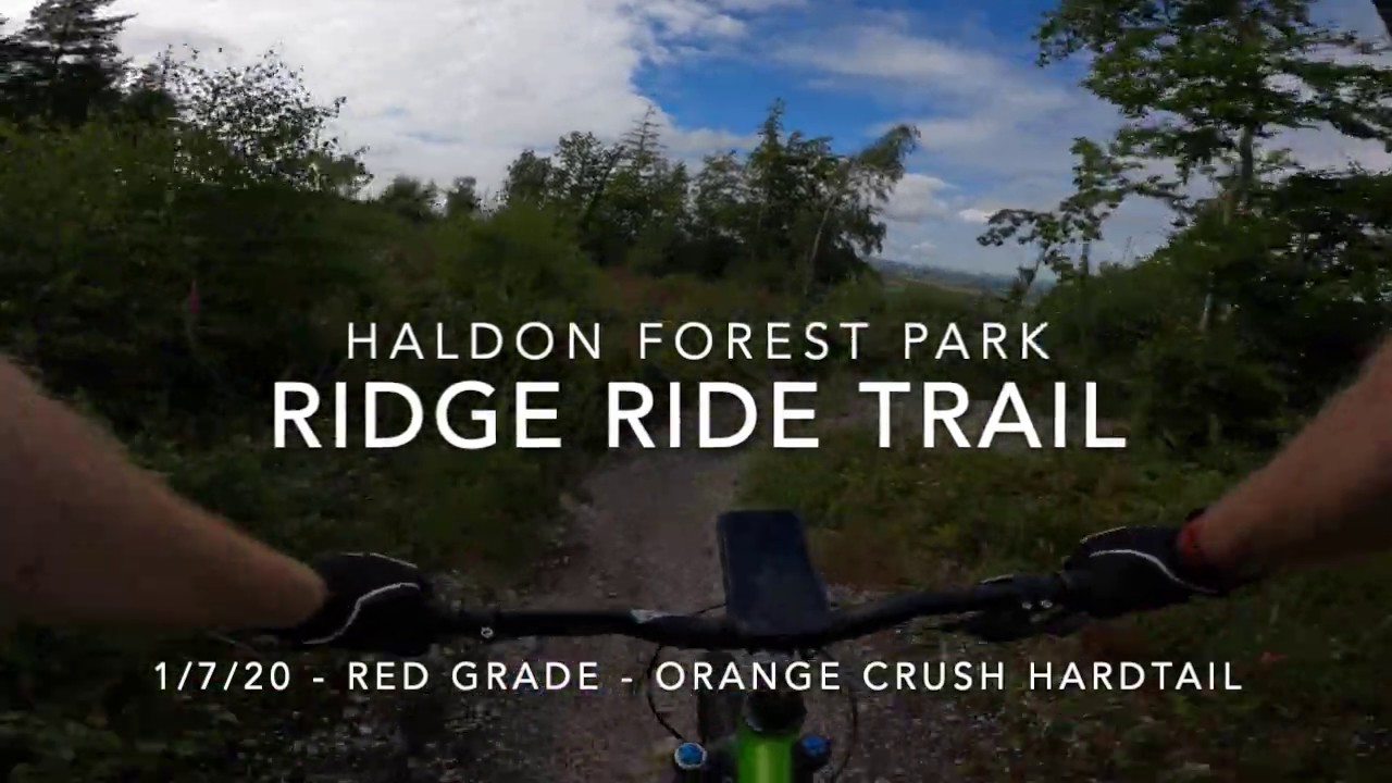 RIDGE RIDE TRAIL @ Haldon Forest Park July 2020 - YouTube