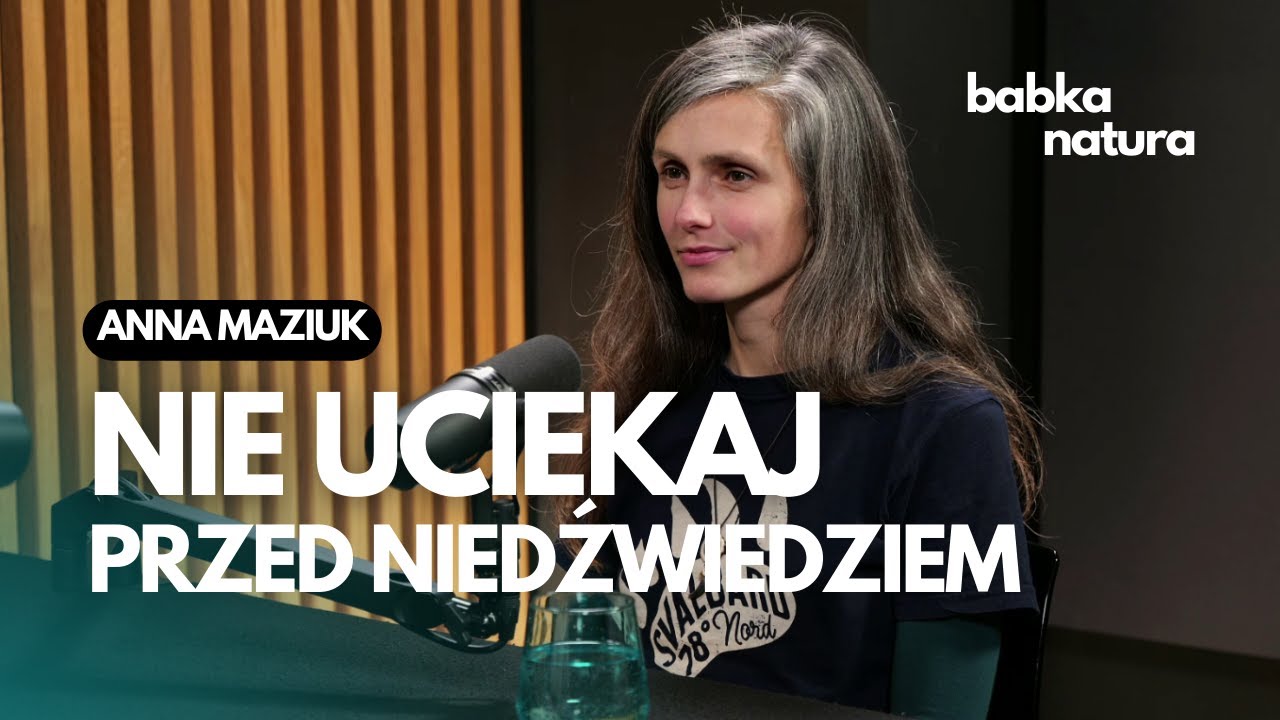 Niedźwiedź szuka domu | Anna Maziuk | podcast Babka Natura - YouTube