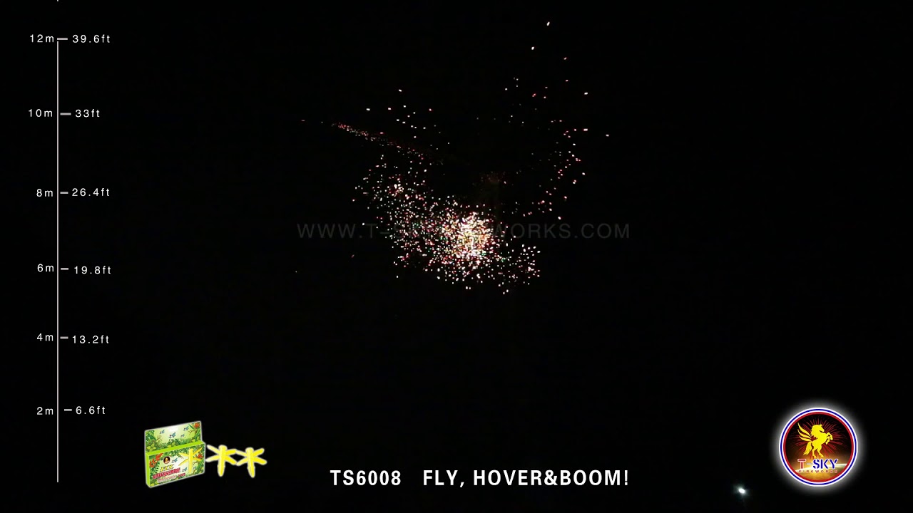 Fly Hoover Boom - YouTube