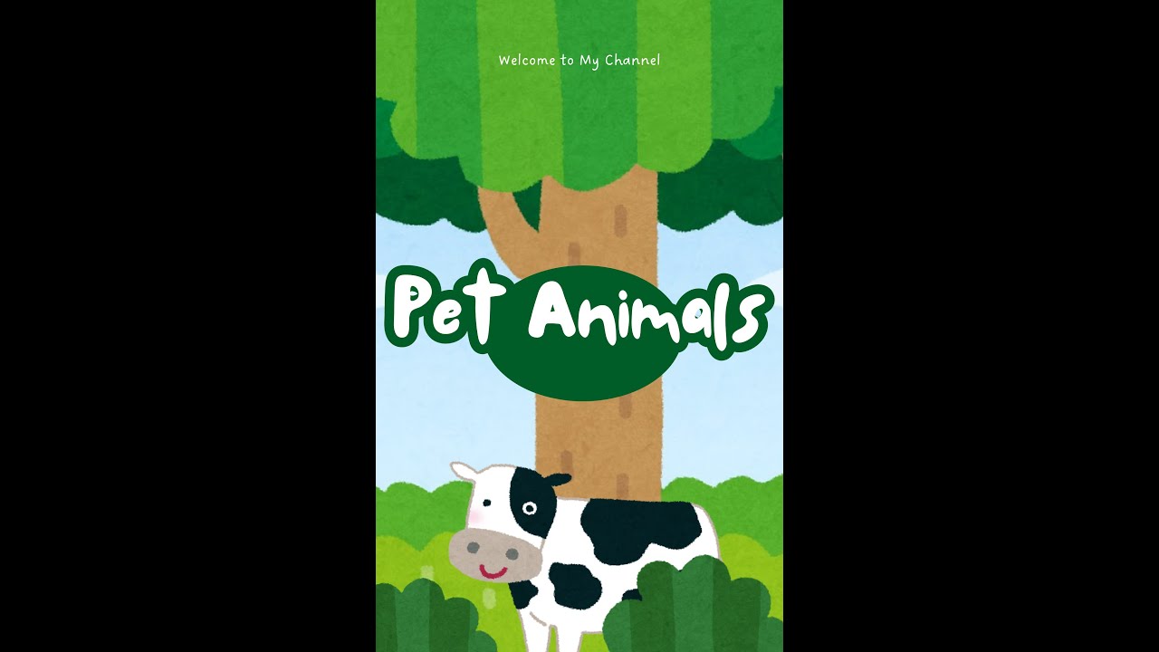 Stress Buster Pet animals - YouTube