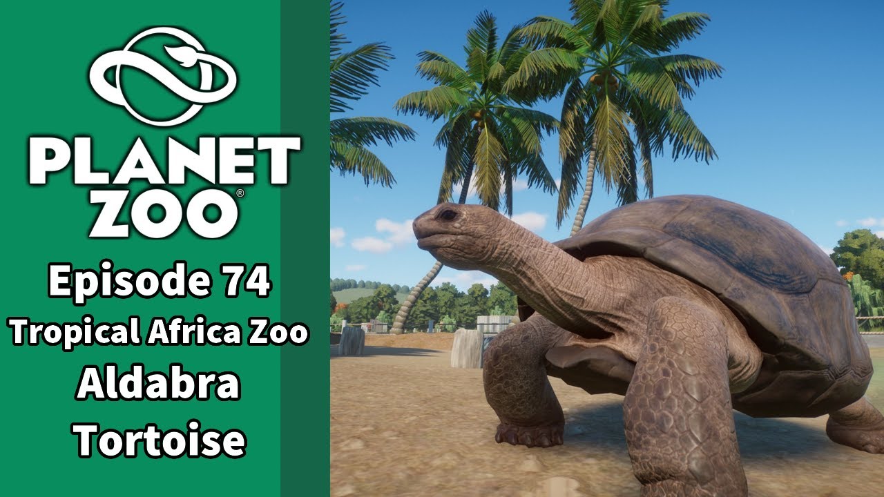 Planet Zoo Episode 74: Tropical Africa Zoo, Aldabra Tortoise - YouTube