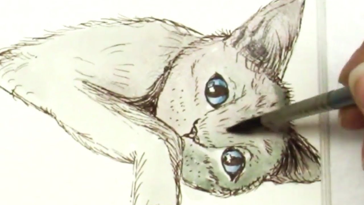 Pen and Ink Drawing Tutorial How to Draw a Blue Eyed KItten - Inktober ...