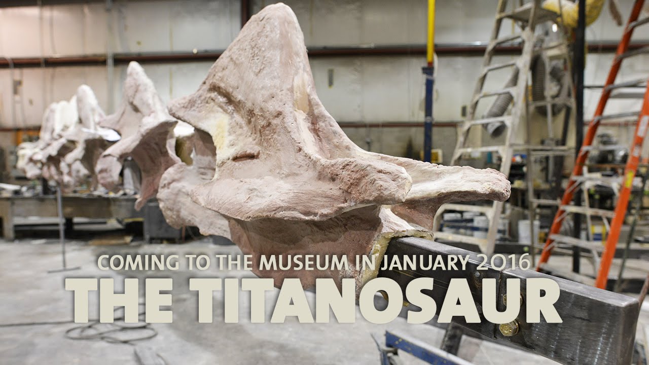 Titanosaurus Bones