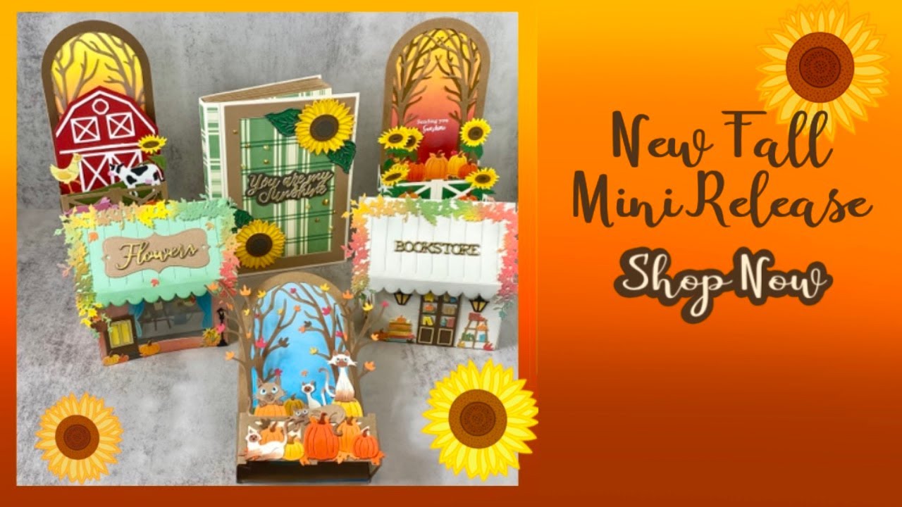 Surprise Mini Fall Release Ideas & Product Showcase - YouTube