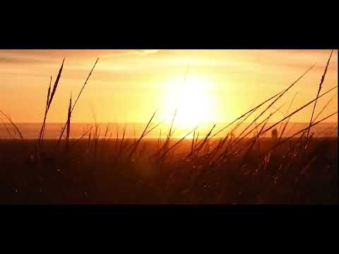 Nature Video 30 Seconds |WhatsApp Status Video|Nature Background Videos