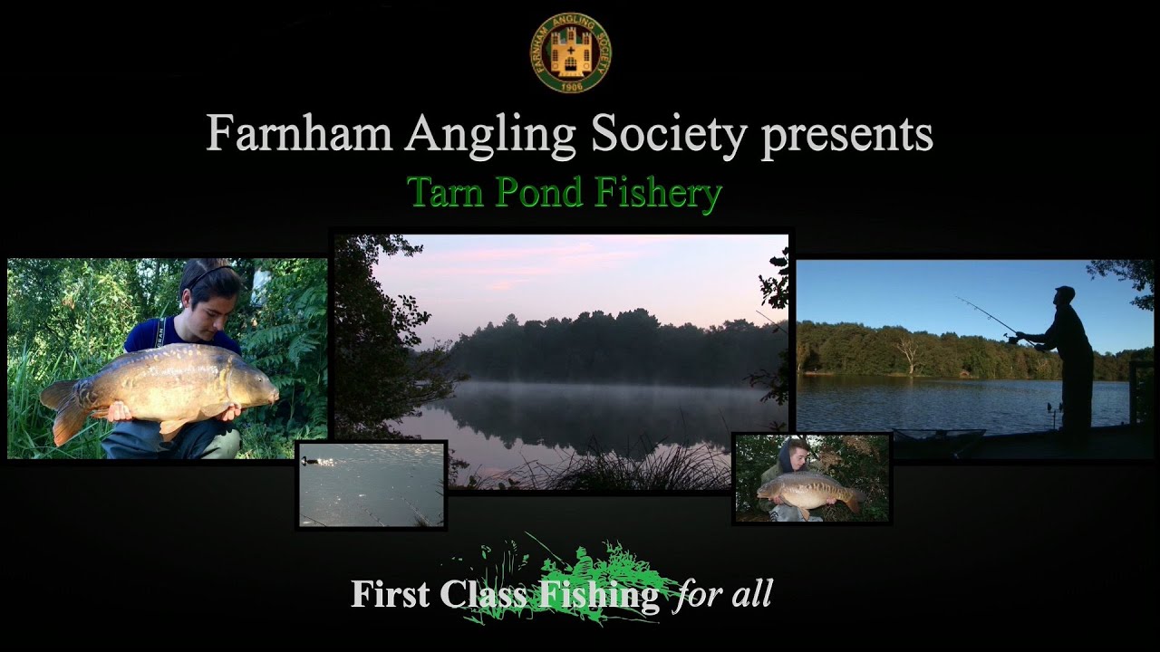 Farnham Angling Society Tarn Pond fishery - YouTube