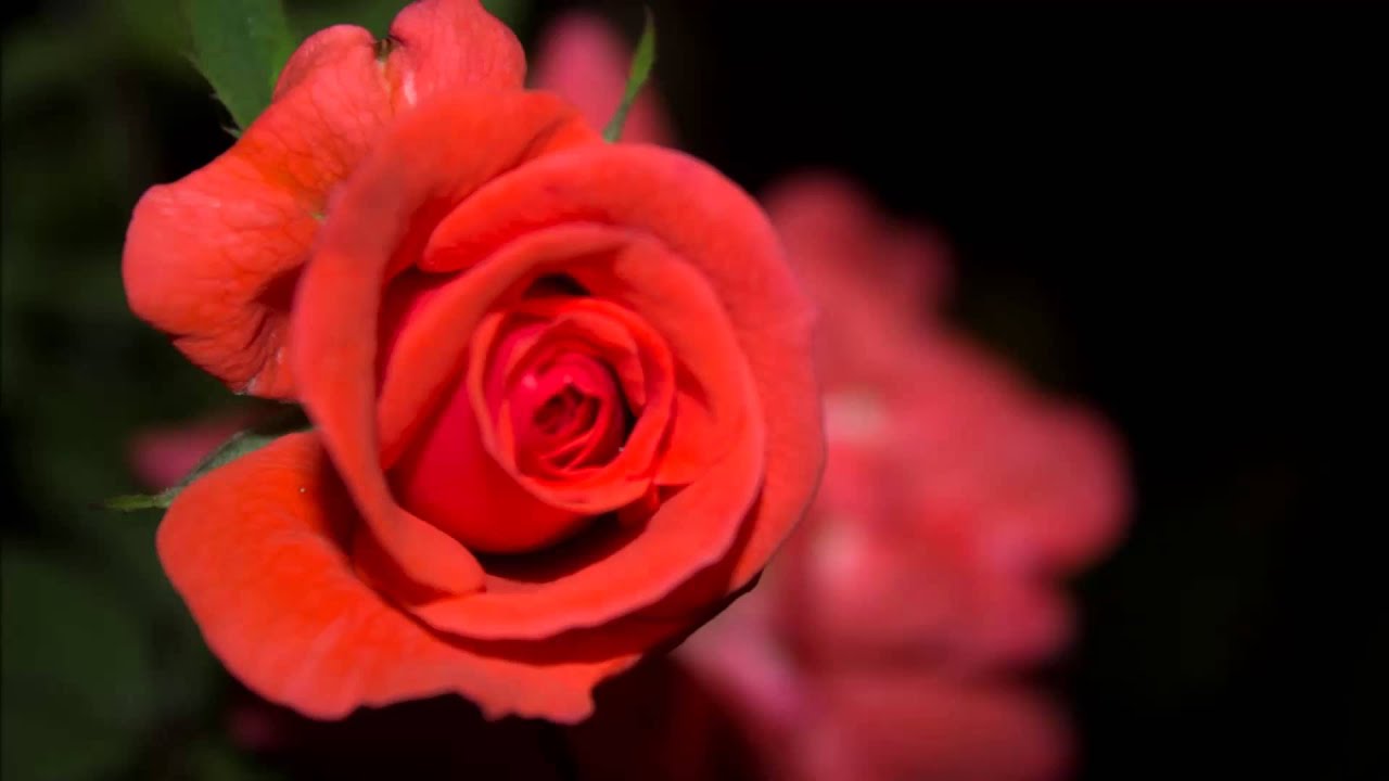 canteen a moruvumi unplugged - YouTube