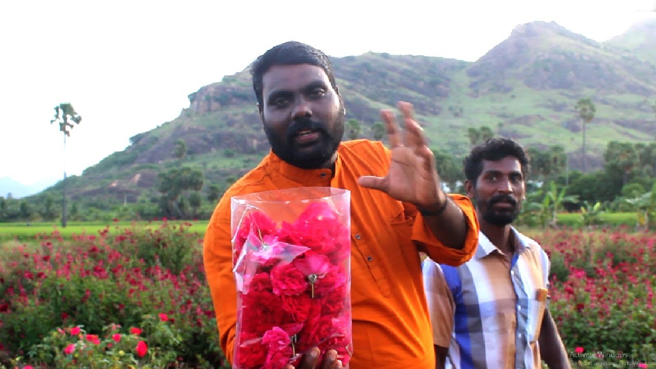 തോവാളയിലെ പൂന്തോട്ട വിശേഷങ്ങൾ.. 🌹 I Thovalai flower garden - YouTube