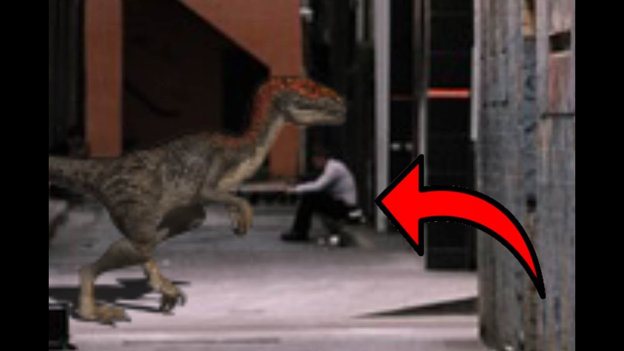 NEW Alive Real Raptor Dinosaur Caught on Camera and Spotted in REAL ...