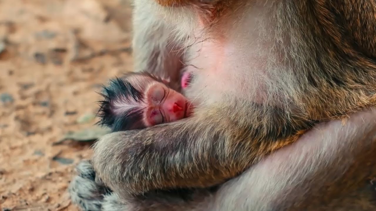 Oh My god ...! Look at this little baby he look so very small ...!😢 ...