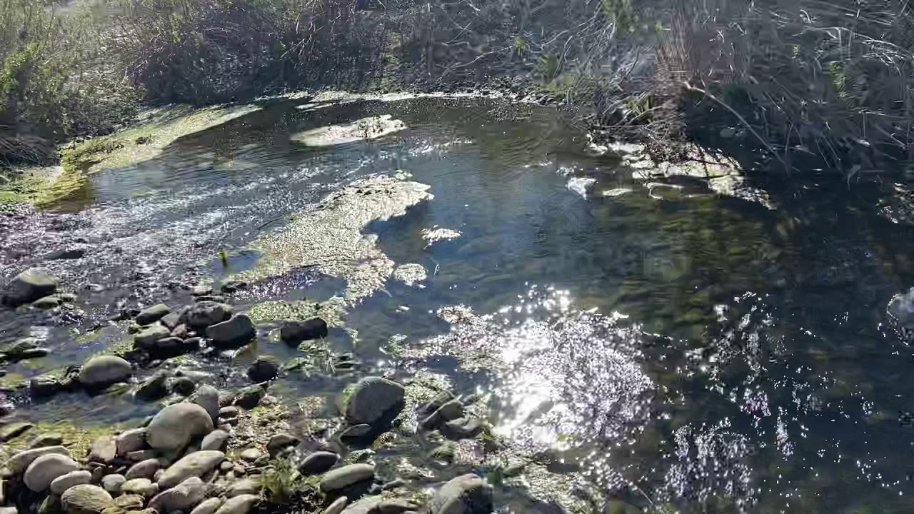 BEAUTIFUL SOLVANG RIVER IN CALIFORNIA PART 2 😍 - YouTube