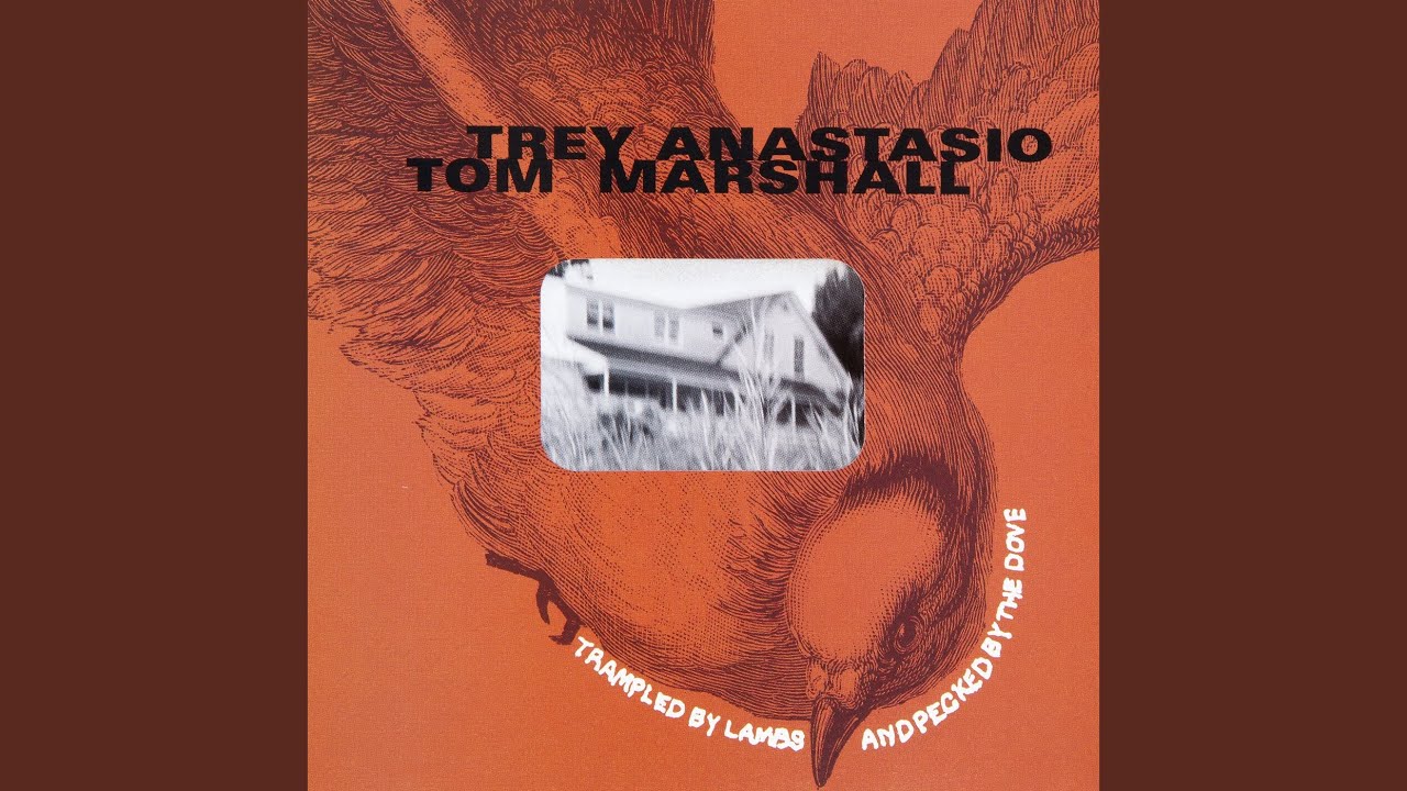 Windora Bug - YouTube