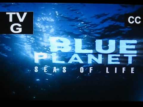 Blue Planet - Seas of Life Intro - YouTube