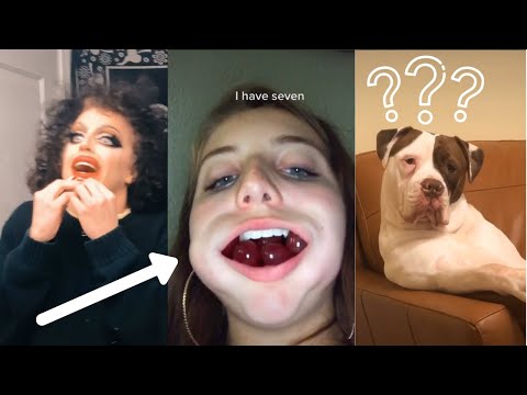Tik Toks That Show How Chaotic Gen Z Is | Generation Z / Gen Z ...