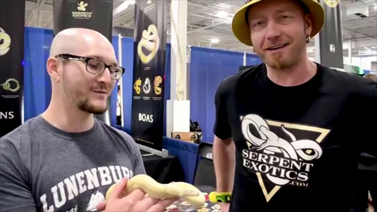 Interview at CRBE 2019 with Adam Wickens - YouTube