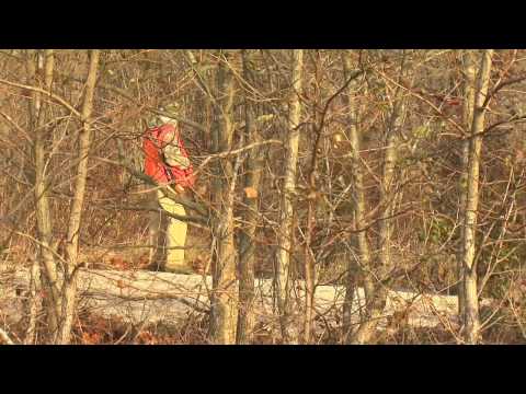 Timothy Teitloff - Age, Phone Number, Address, Contact Info, Public ...