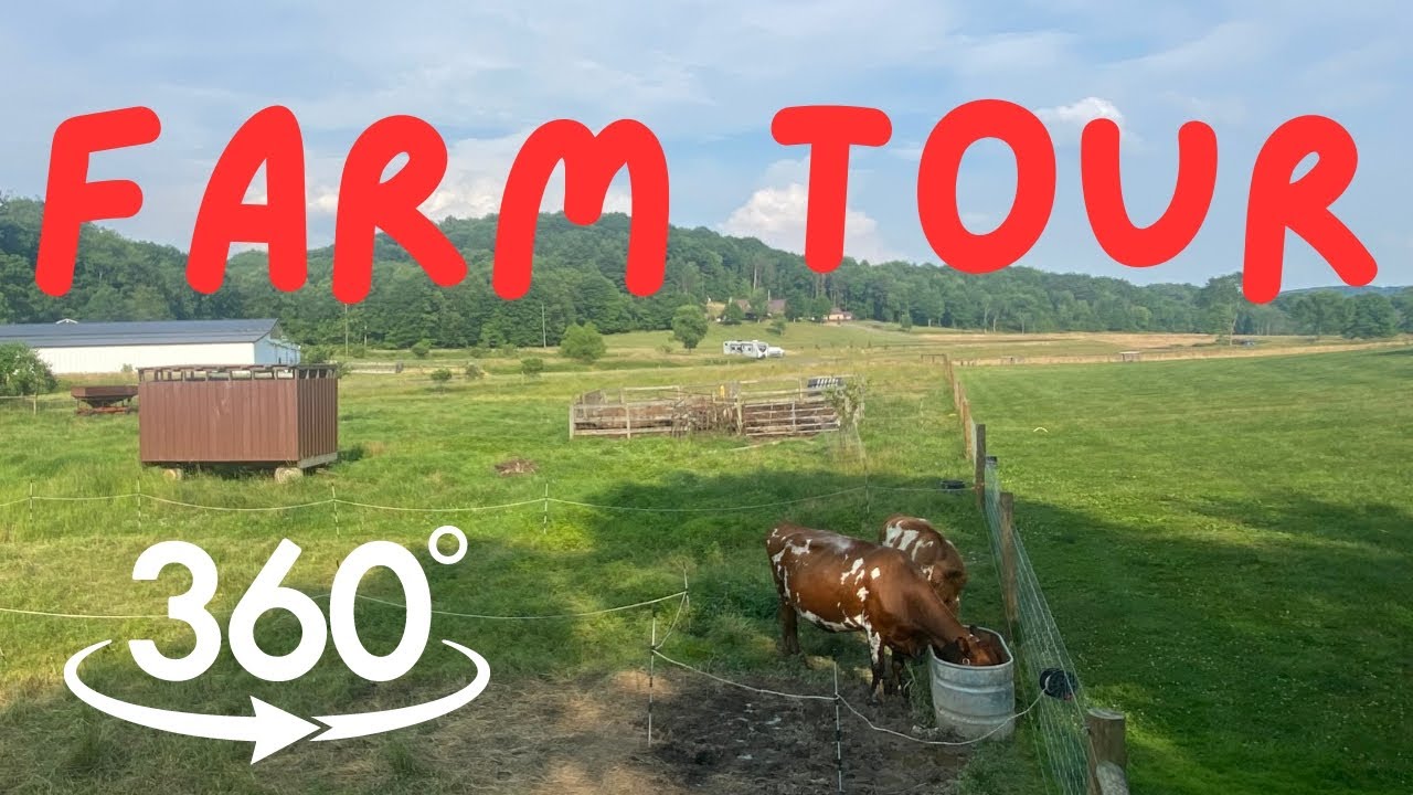Experience the magic of a 360° farm tour! - YouTube