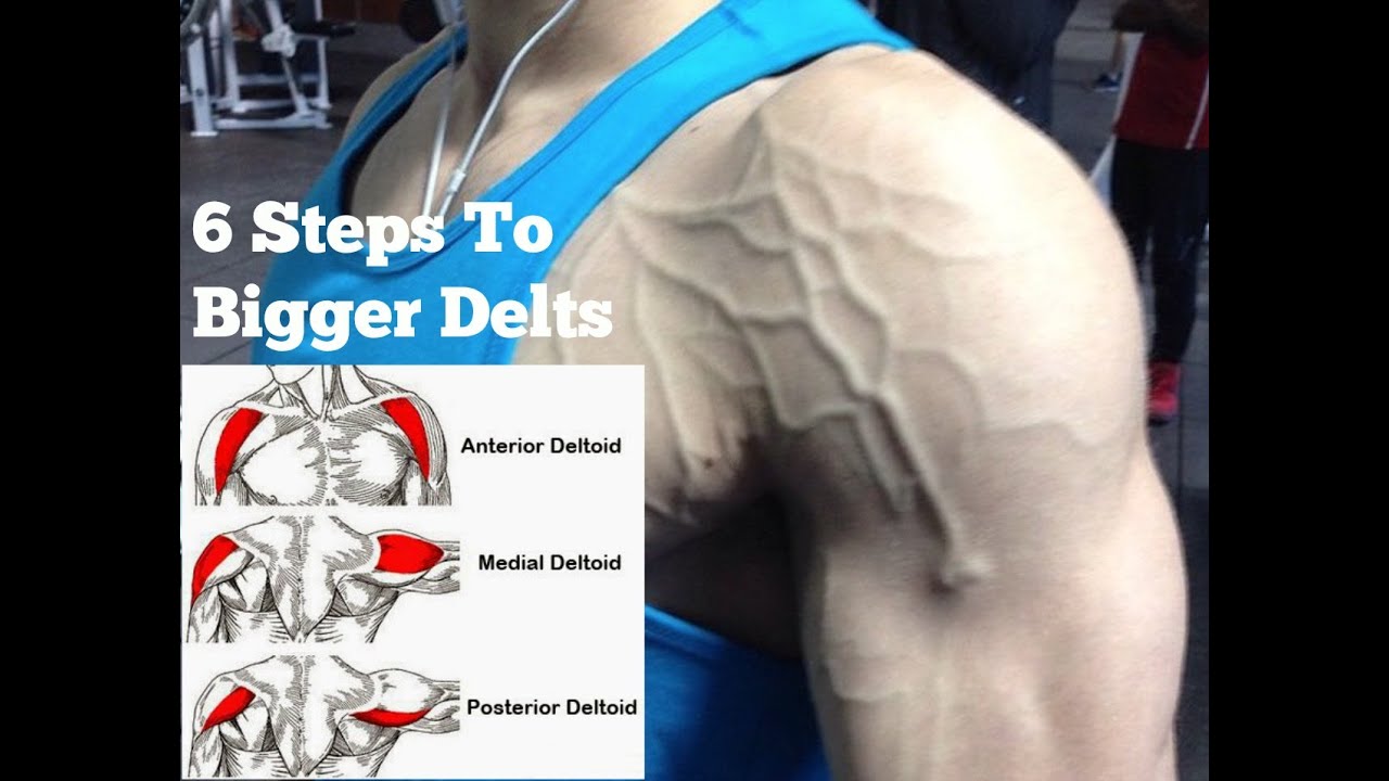 Shoulder Training 101 In Six Steps- Tips - YouTube