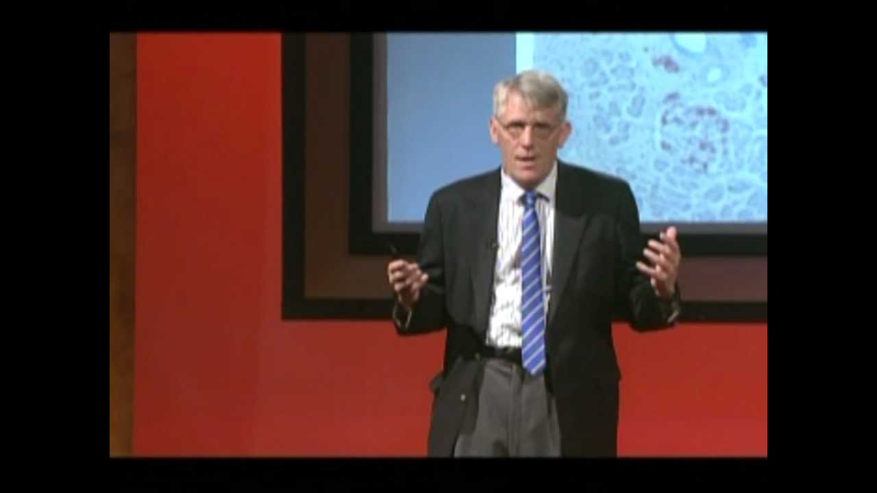 Preserving Your Beta Cells: Peter Butler, M.D. at TEDxDelMar - YouTube