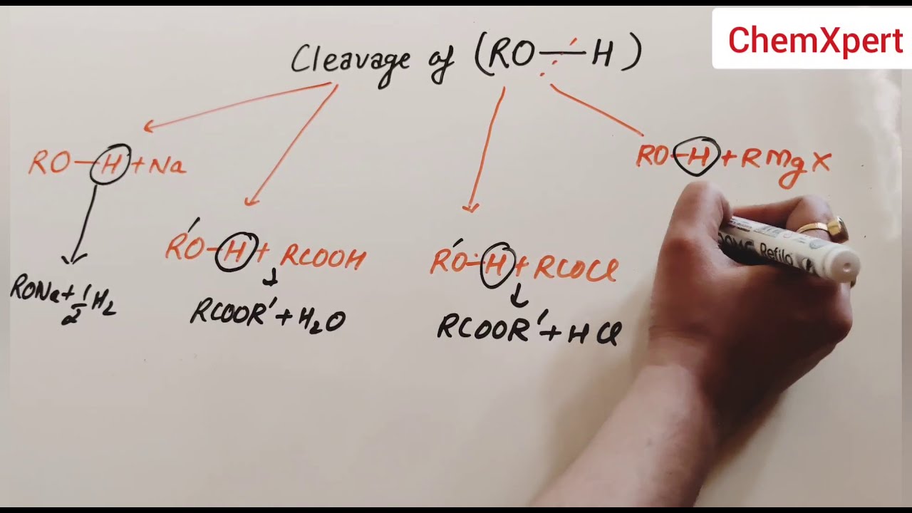 Chemical Reactions Of Alcohol |Chemistry Class 12 | Alcohol Phenols and ...