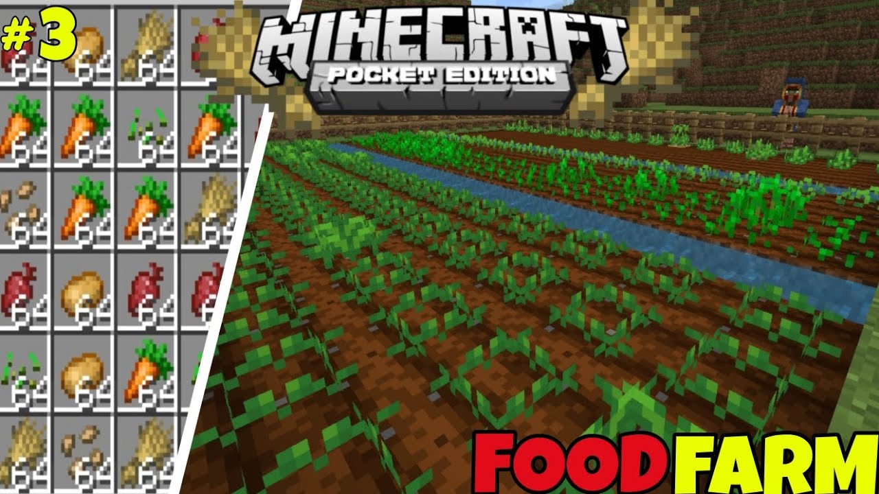 I make food farm in minecraft | Survival series #3 - YouTube