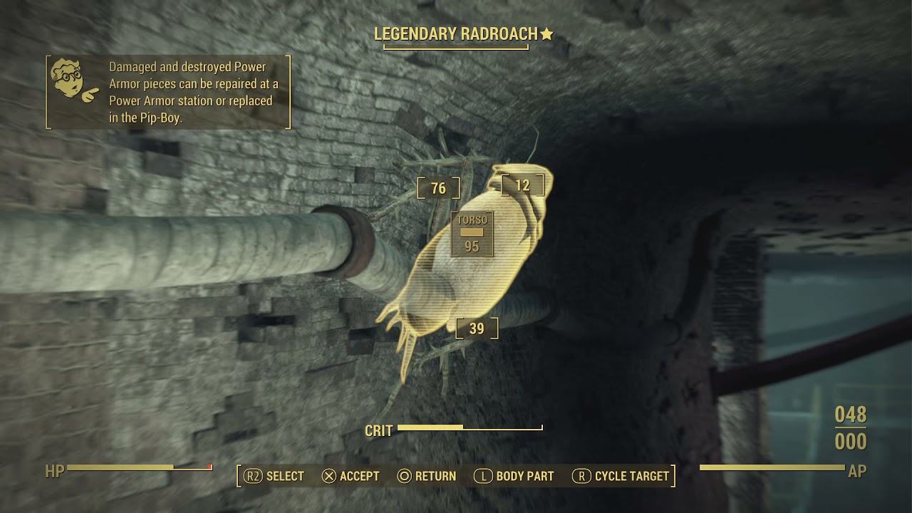 Giant Radroach - YouTube