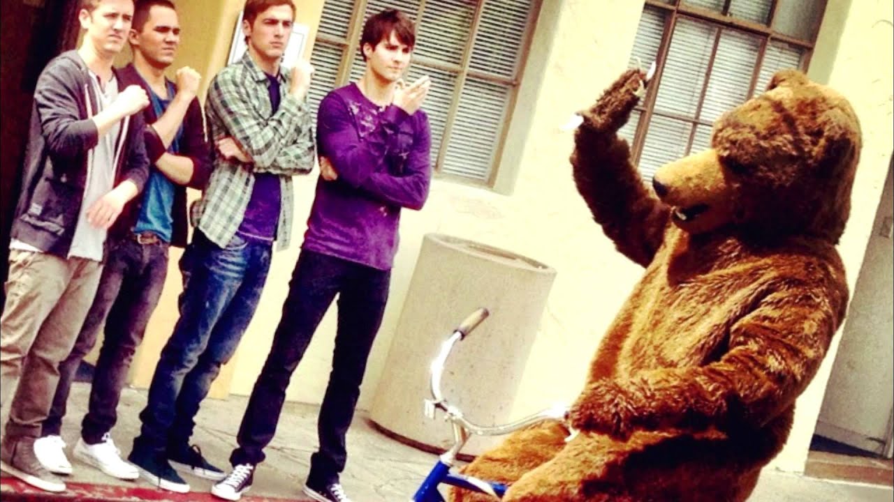 Big Time Rush Bear Dancing to Windows Down - YouTube