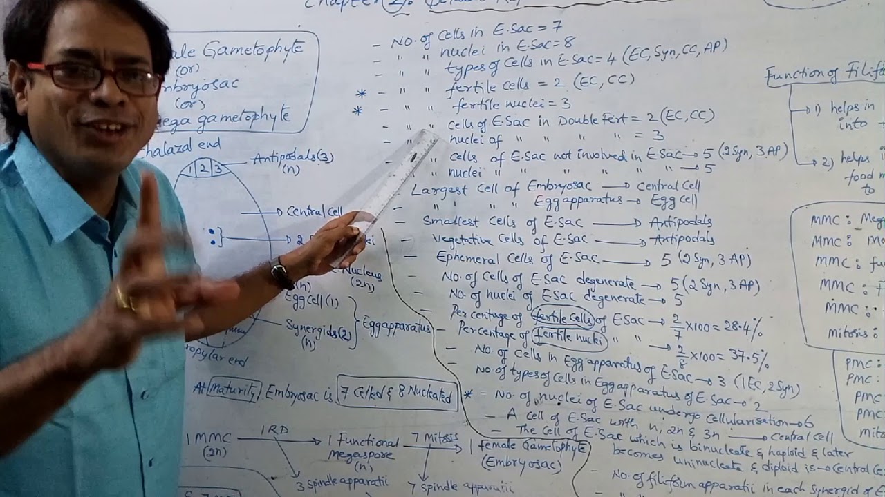 NEET BOTANY period 8: CLASS 12 - Chapter 2: SEXUAL REPRODUCTION IN ...