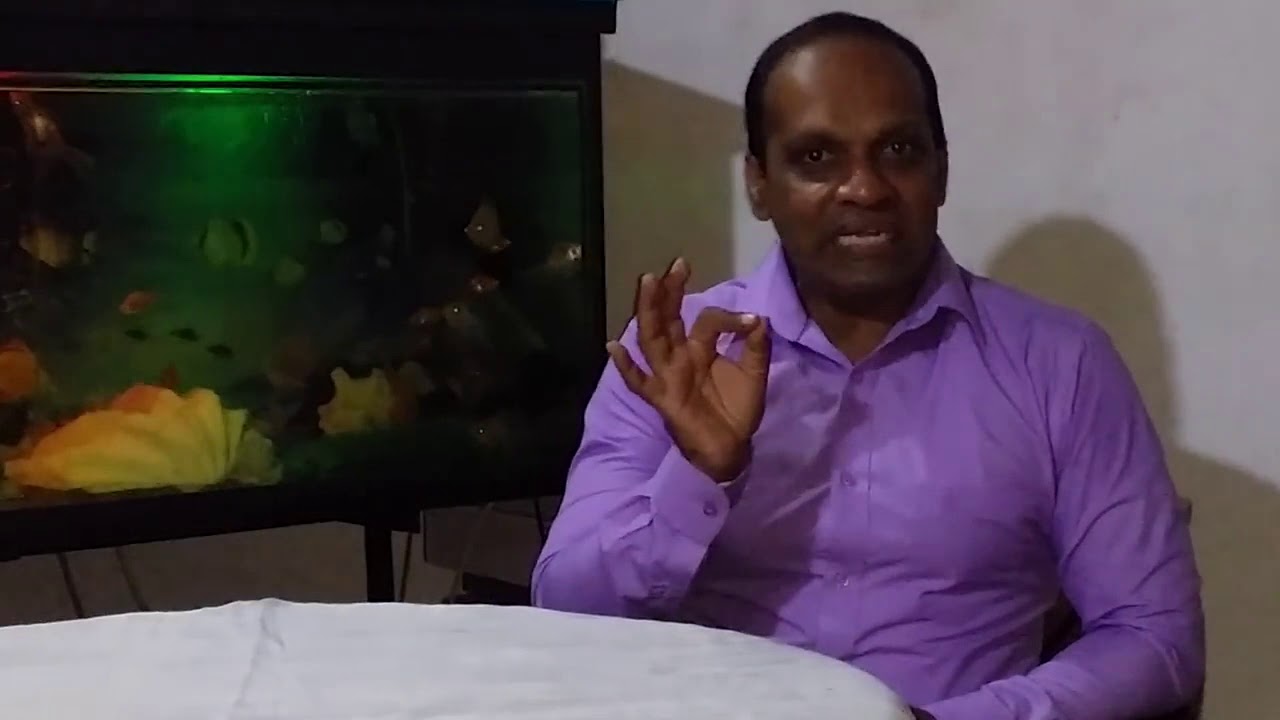 Sakvithi Ranasinghe online English lesson 04 - YouTube