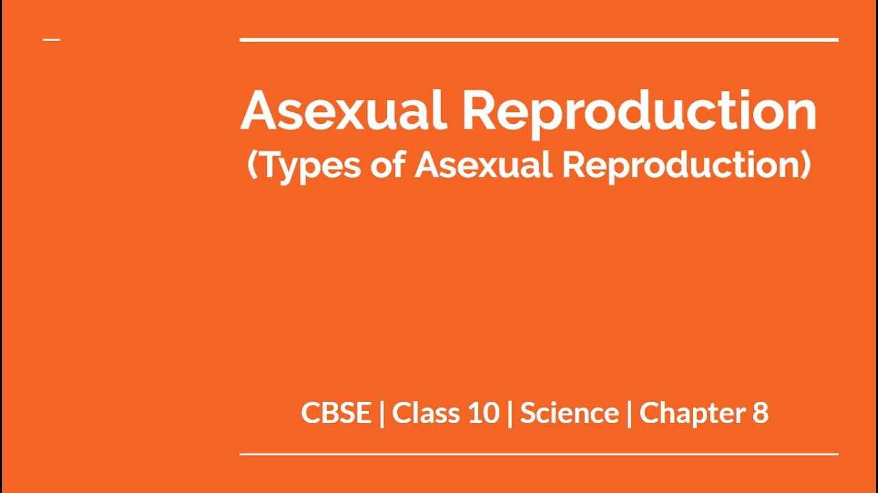 Asexual Reproduction | Class 10 | CBSE | NCERT | Science - YouTube