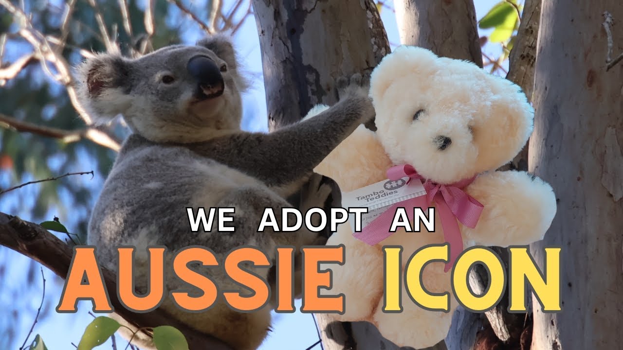 We are on TEDDY HUNT in Central Queensland | Caravanning Vlog Australia ...
