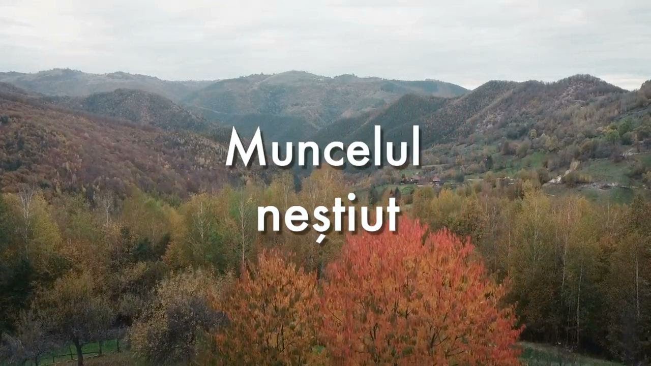 Exclusiv în România: Muncelul neştiut (@TVR1) - YouTube