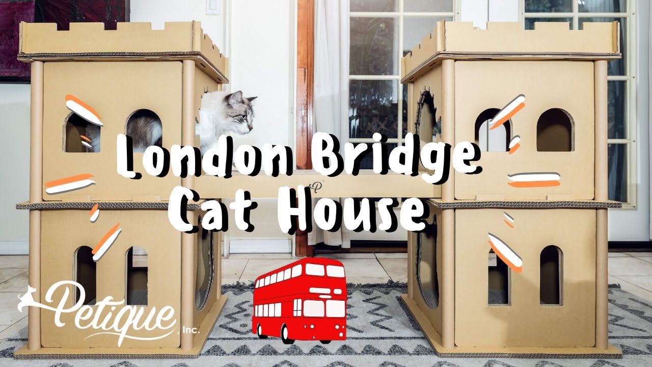 Petique's London Bridge Cat House Fit For Royalty - YouTube