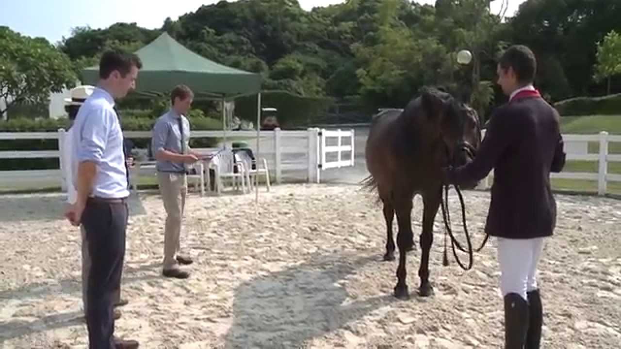 EFHKC Horse Inspection Demonstration - YouTube