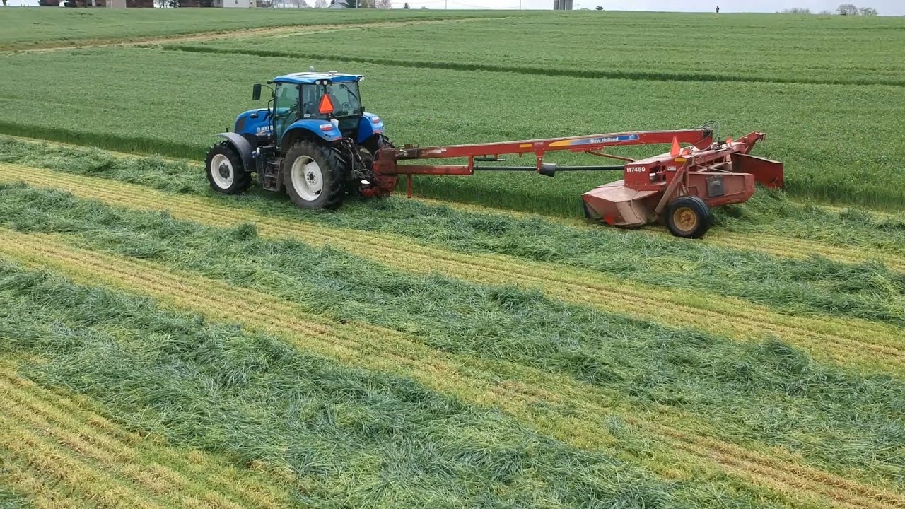 Rye Harvest Pt.1 | Mowing and Crimping - YouTube