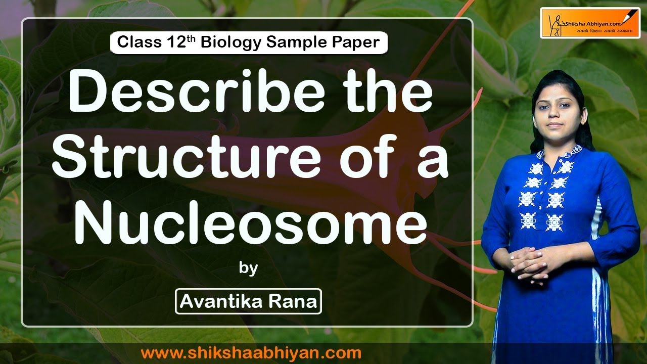 Q7 Describe the structure of a nucleosome | CBSE Class 12 Biology - YouTube