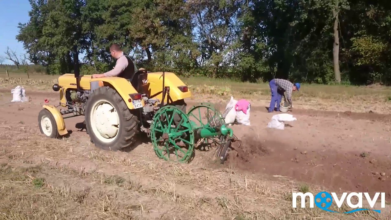 Retro Zetor 4011 Plus UNIA, i Zetor 3011...Wykopki. - YouTube