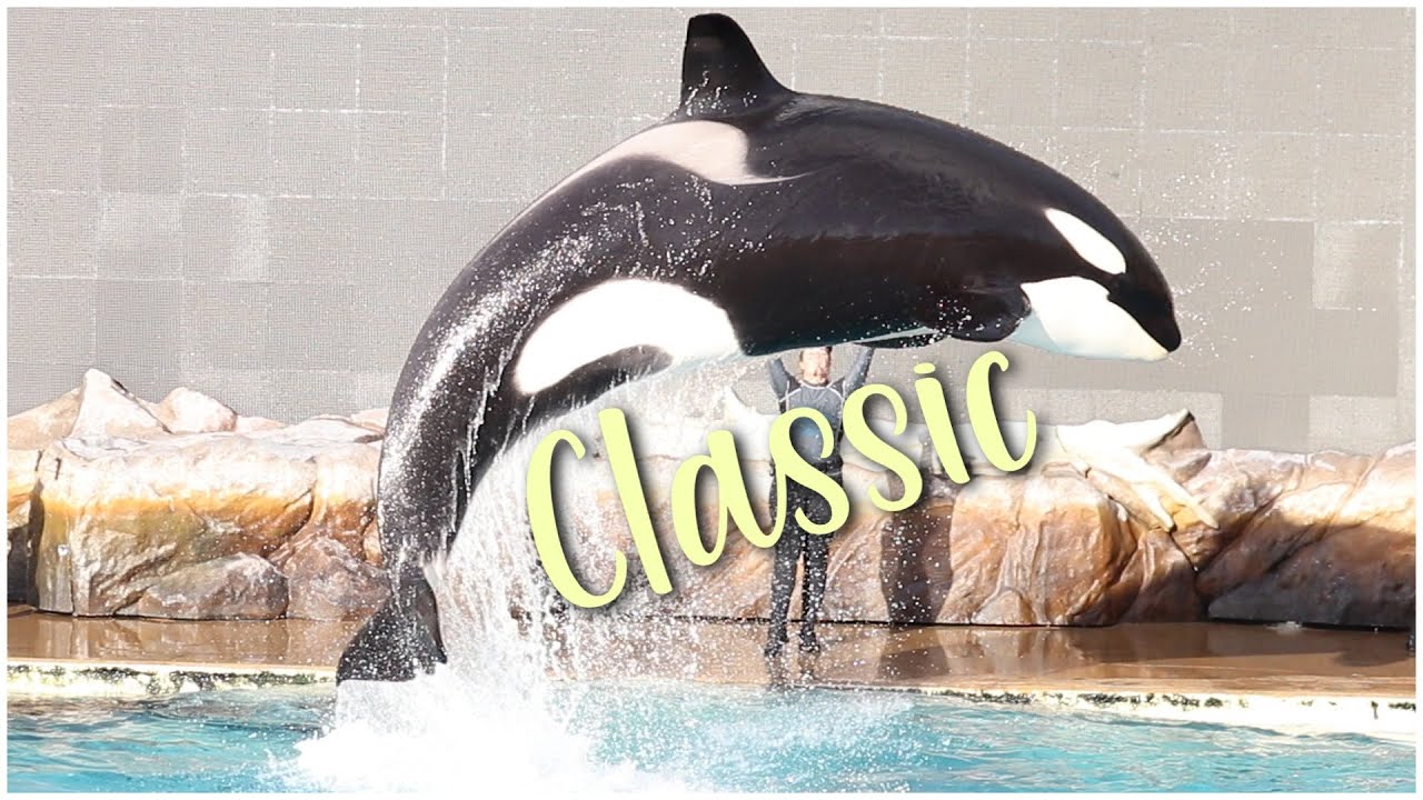 𓍼 𝒞𝓁𝒶𝓈𝓈𝒾𝒸 - YouTube