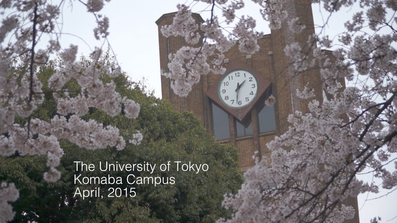 How The University of Tokyo Welcome students in spring - YouTube
