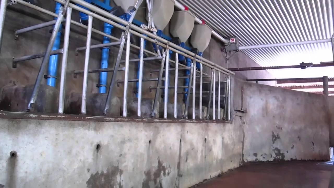 PJ Boylan, Monaghan - NDC/IDB Milk Quality finalist - YouTube