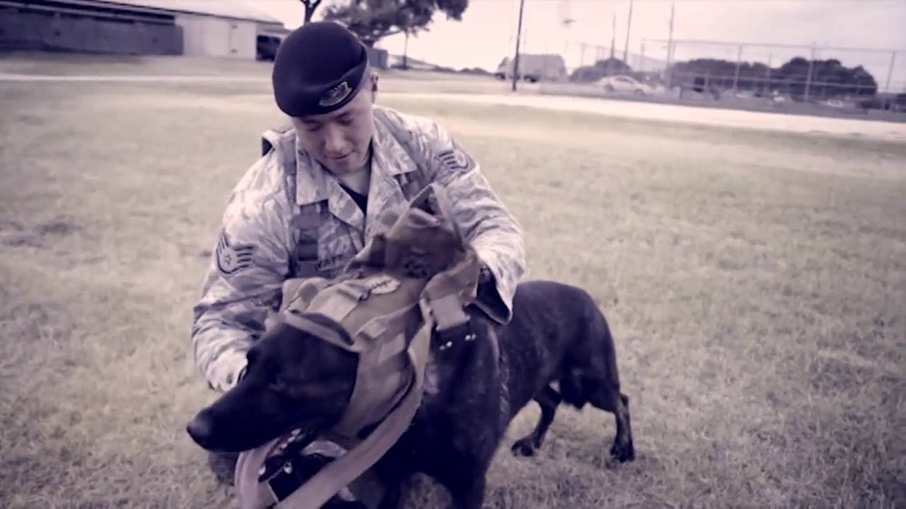 Air Force Branch || Strike Team Delta - YouTube