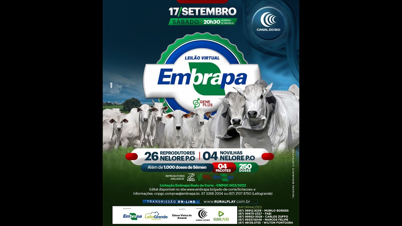 RETRANSMISSAO - LEILÃO VIRTUAL EMBRAPA GENEPLUS - RURAL PLAY - YouTube
