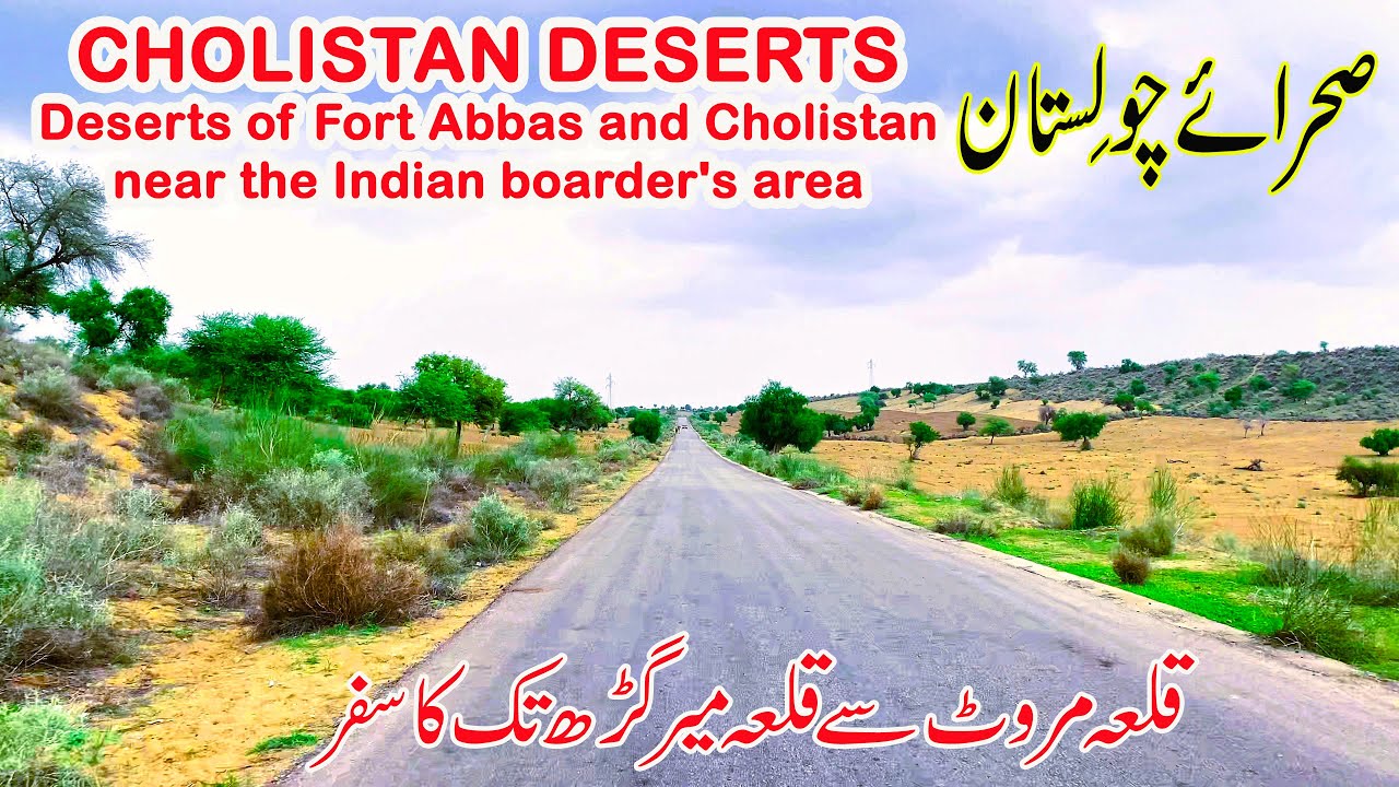 Cholistan Desert Adventure: Unveiling Pakistan’s Historic Heartland ...