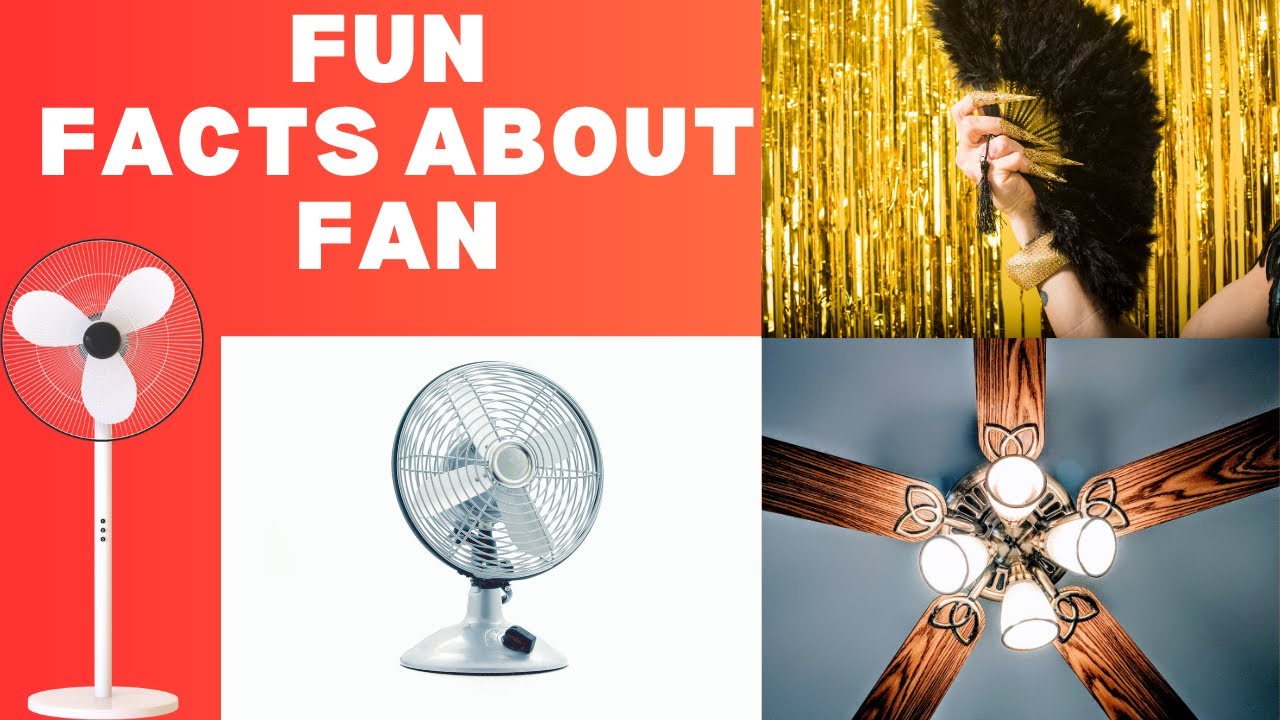 Fun Facts about Fan | Electric Fan | Fan | History of Fan # ...