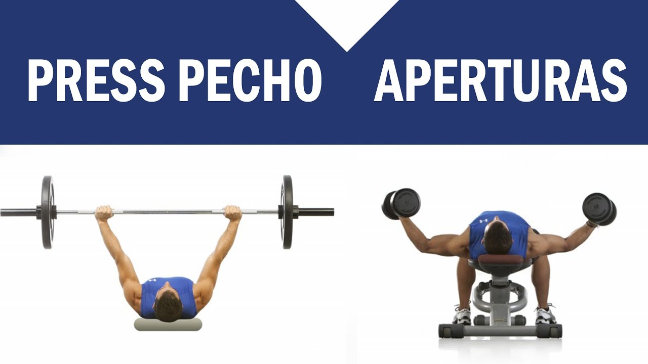 2 Ejercicios de musculación para pecho. Análisis biomecánico de Press y ...