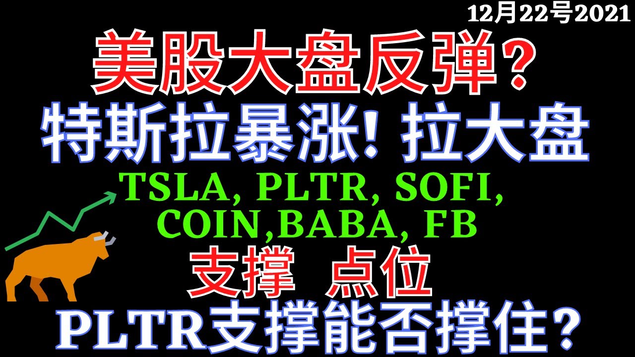 美股大盘反弹? 特斯拉暴涨! 拉大盘 TSLA, PLTR, SOFI, COIN,BABA, FB 支撑 点位 PLTR支撑能否撑住 ...