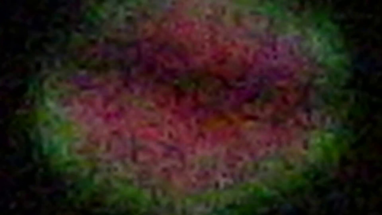 Alien or interdimensional craft or entity? - YouTube