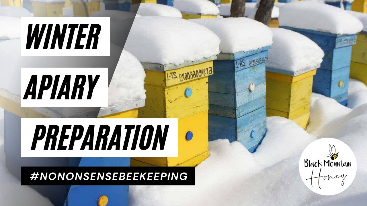 How to Start An Apiary - Prepare an Apiary - How to Keep Bees - YouTube
